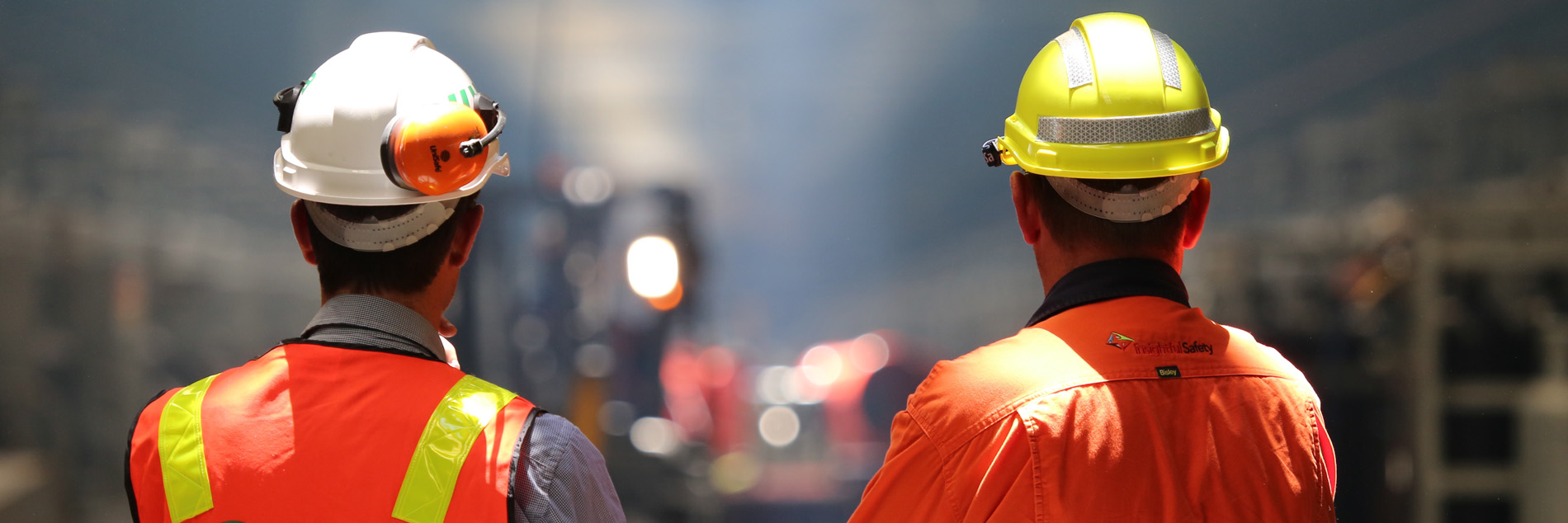 WHS Services: Red Insight Newcastle, Hunter Valley, Sydney